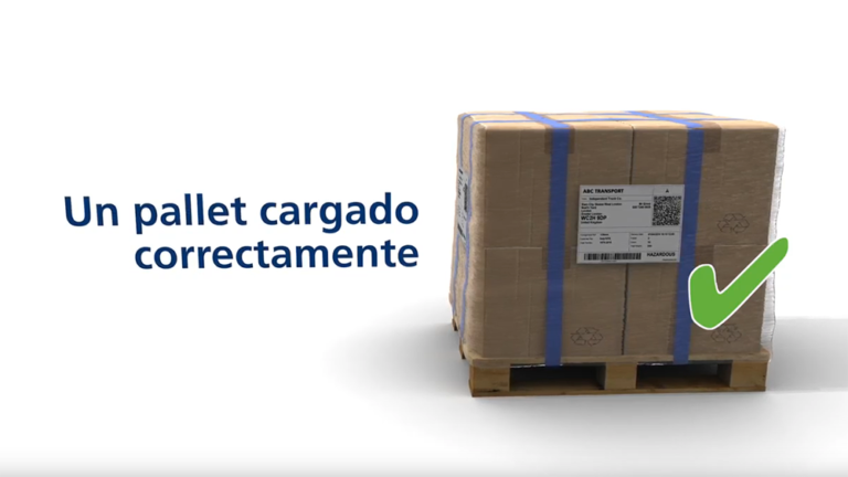 ¿Como preparar la mercancia para ser transportada en un palet ...